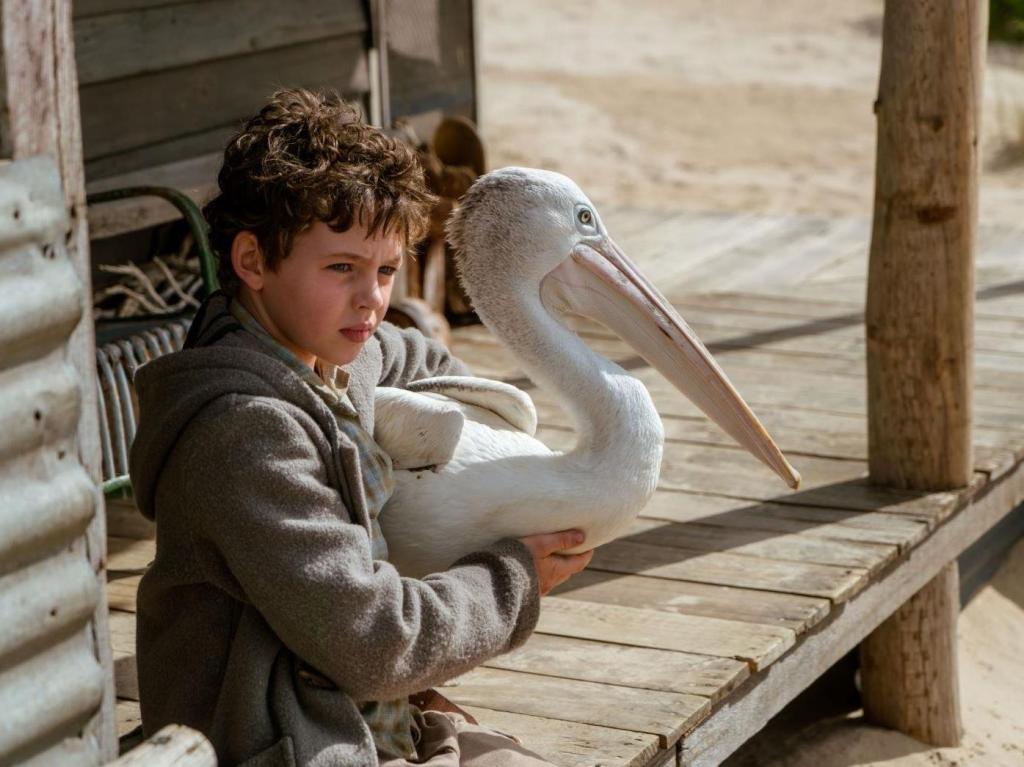 Film Review: Storm Boy | ScreenHub Australia - Film & Television Jobs ...
