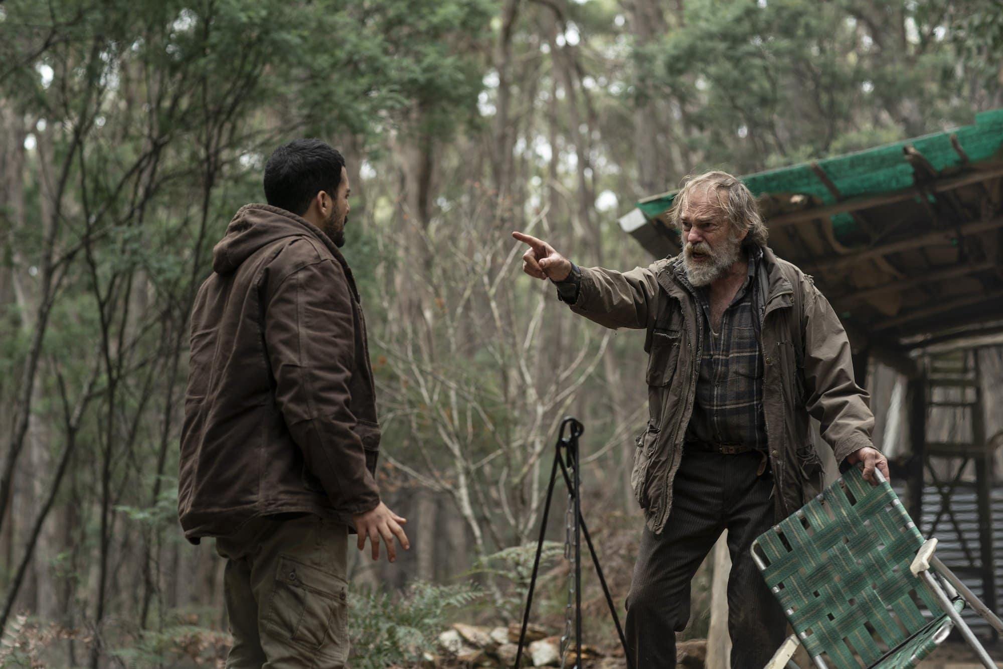 The Rooster review: Hugo Weaving and Phoenix Raei tussle in the woods ...