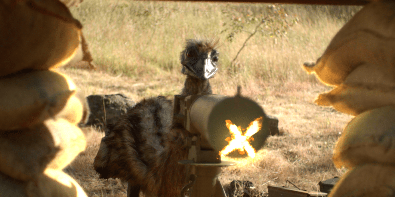 The Emu War – bombastic trailer released for 'over the top' comedy film ...