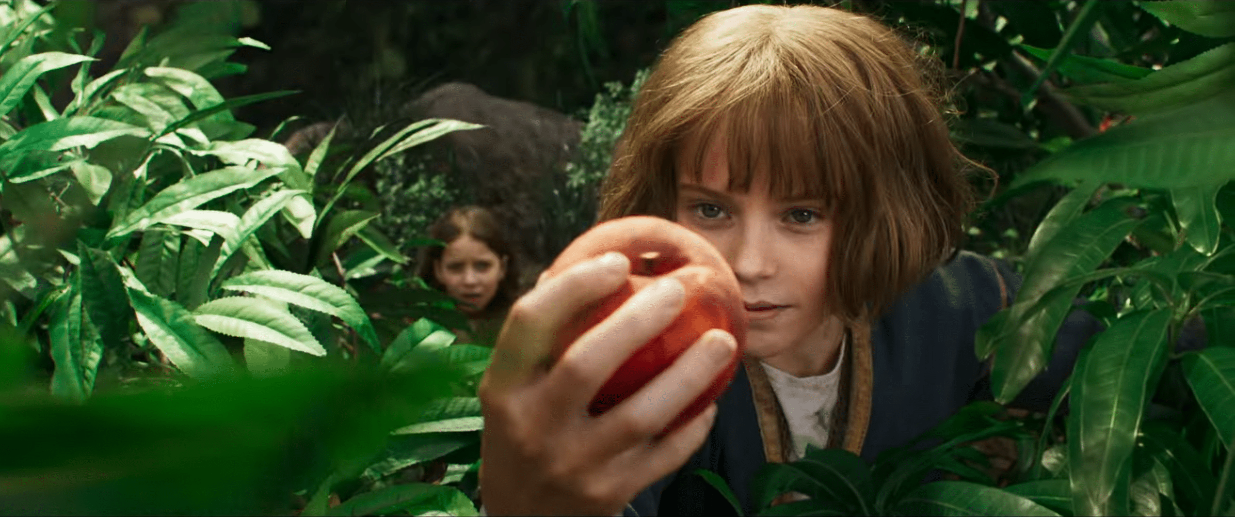 New Furiosa trailer takes us to the Green Place | ScreenHub: Film, TV ...
