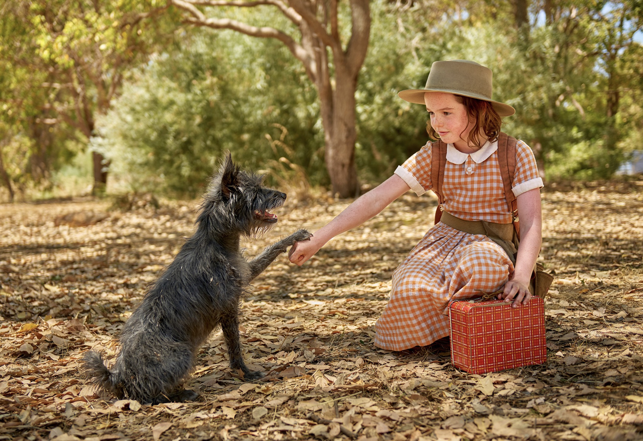 Runt: first look at Craig Silvey's heartfelt adaptation | ScreenHub ...