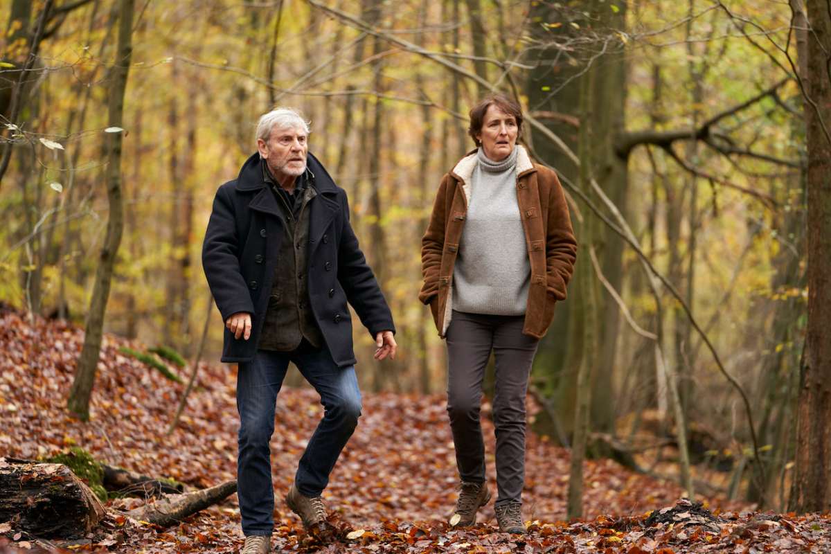BritBox: new shows streaming this week | ScreenHub: Film, TV, Streaming ...