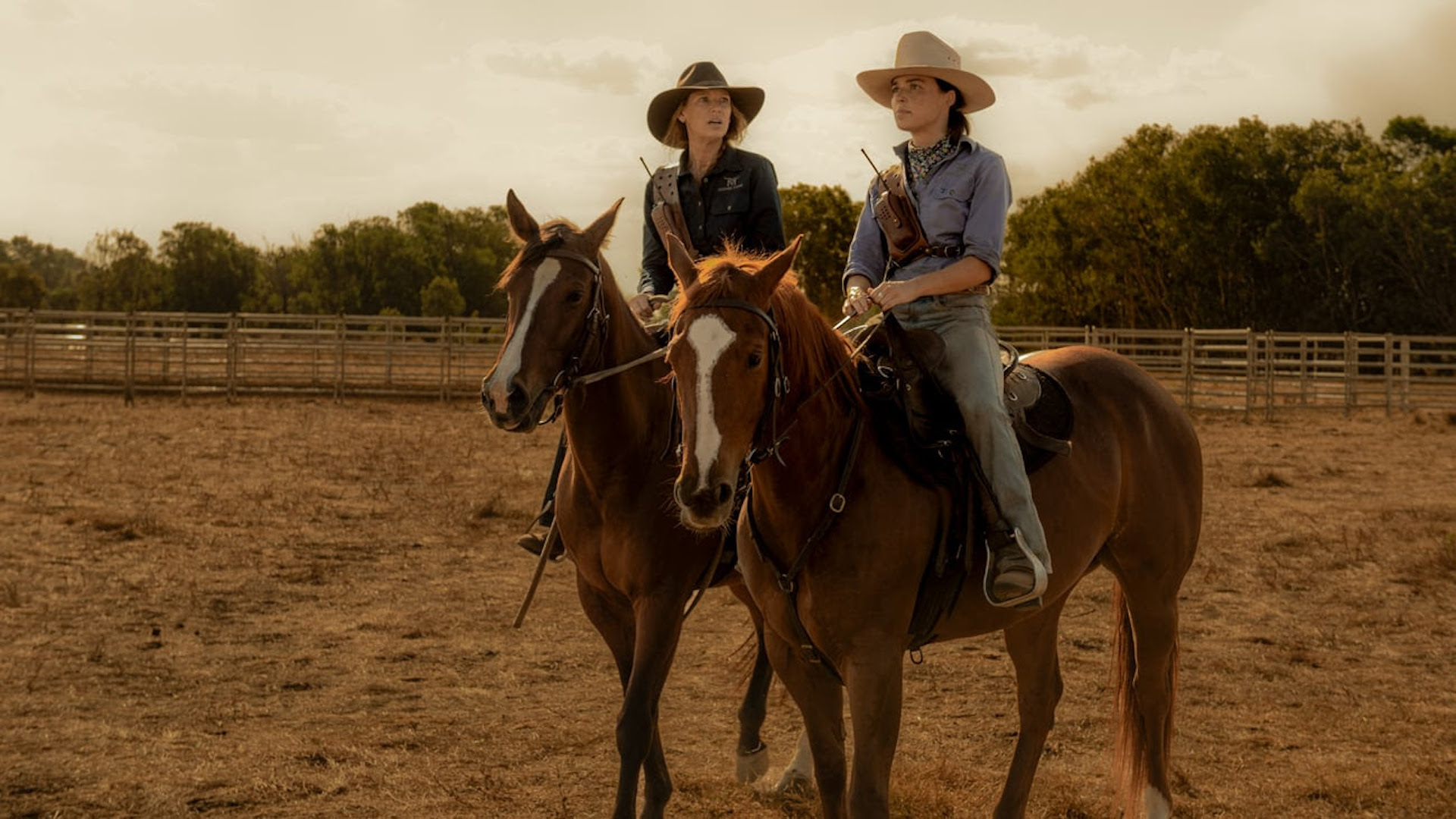 Territory, Netflix review: a soapy Shakespearean outback saga ...