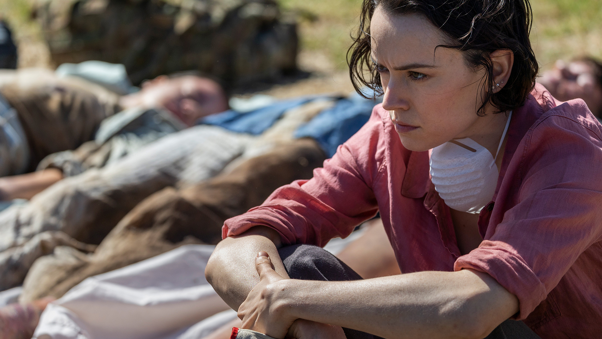 MIFF 2025: our guide to the films not to miss | ScreenHub: Film, TV ...