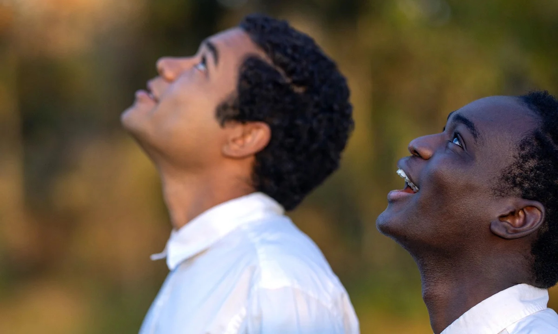 Superwog brothers return with Son of a Donkey series for Netflix ...