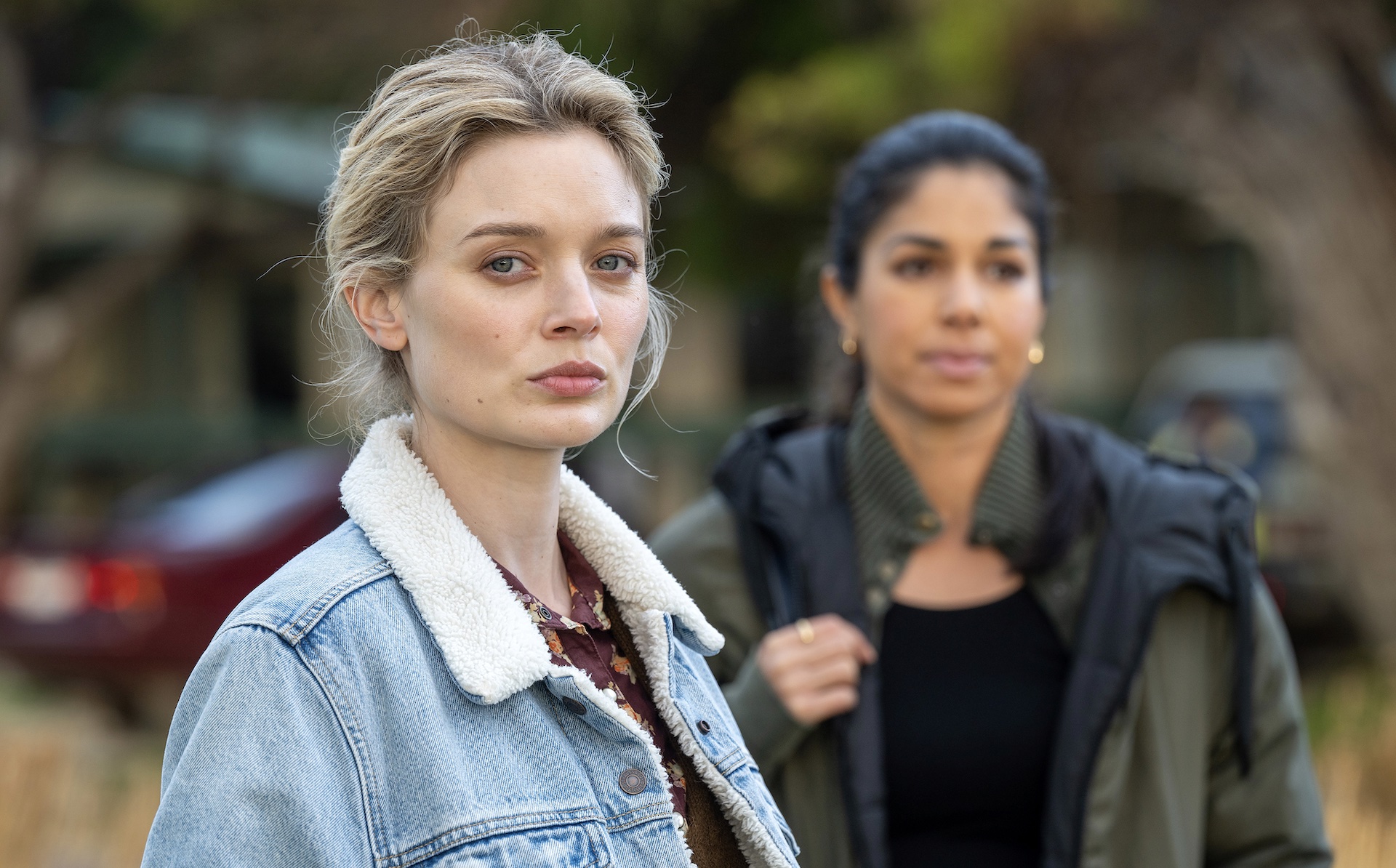 Stan: best new shows streaming this week | ScreenHub: Film, TV ...