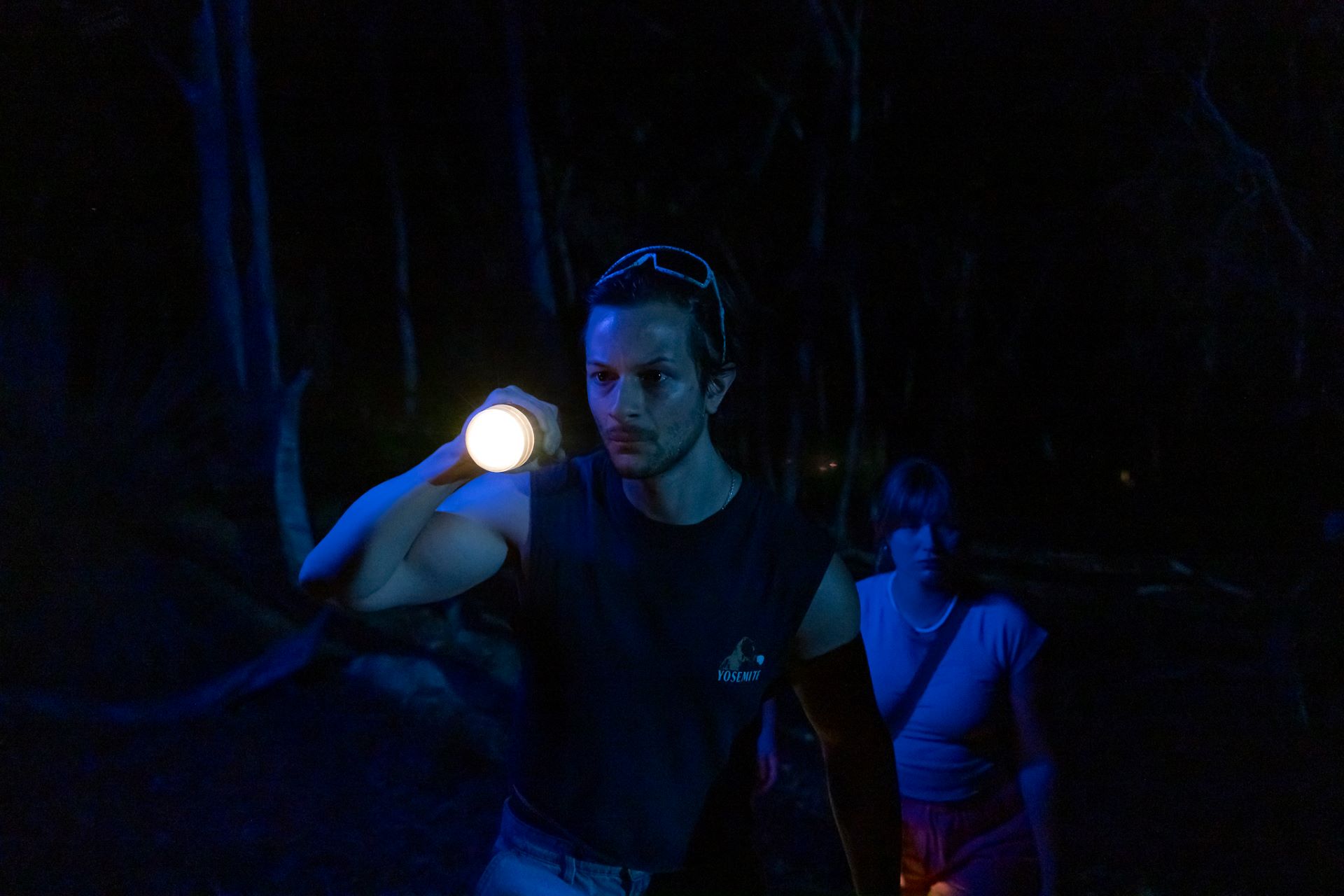 New Dropbear film brings a koala myth to the big screen | ScreenHub ...