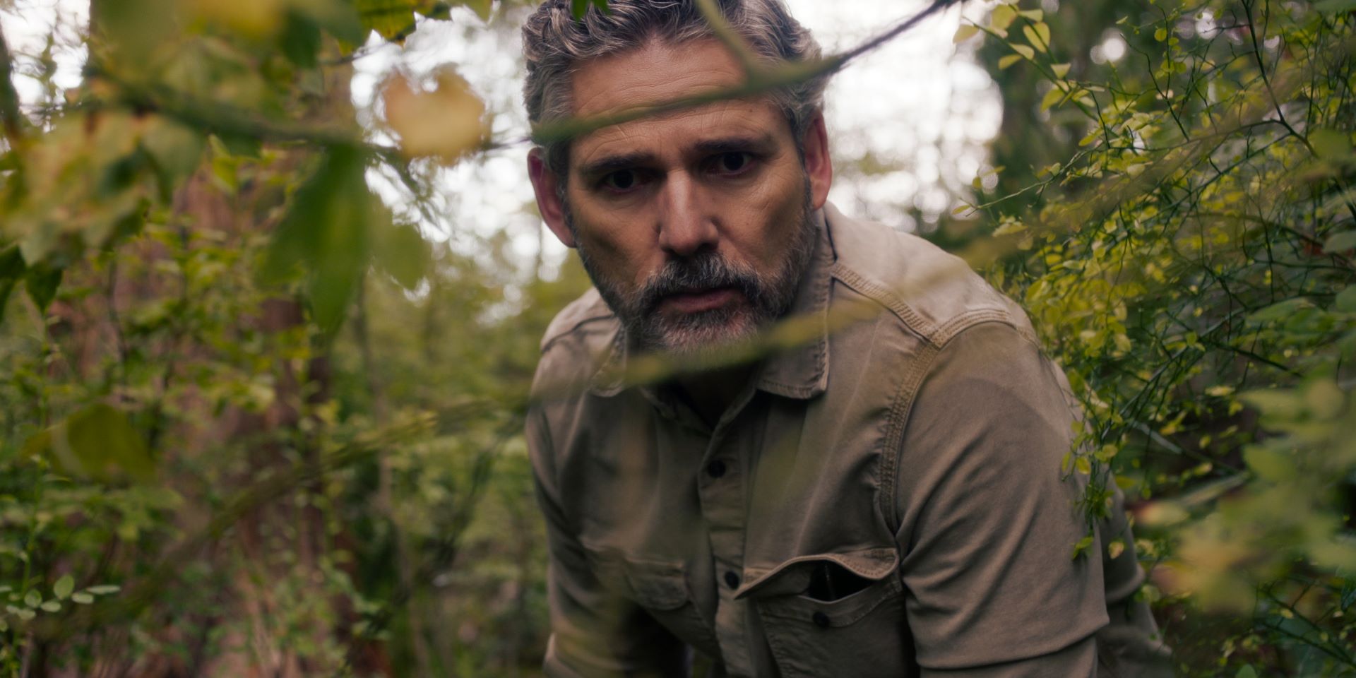 Untamed: Eric Bana and Sam Neill headline Netflix wilderness thriller ...