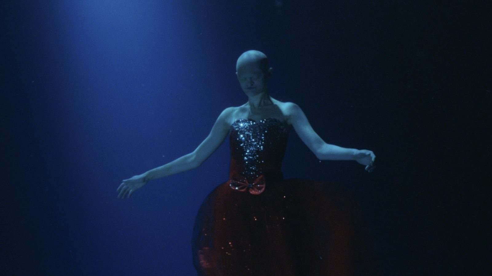 AMC+, Shudder, Acorn TV: best new shows & films streaming this week ...