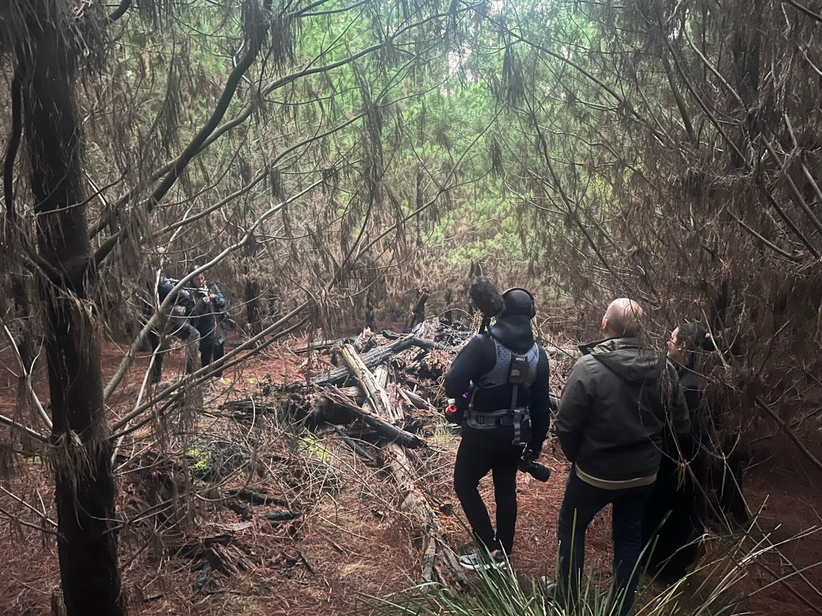 Death Cap Murders – Stan releases Erin Patterson documentary series trailer | ScreenHub: Film ...