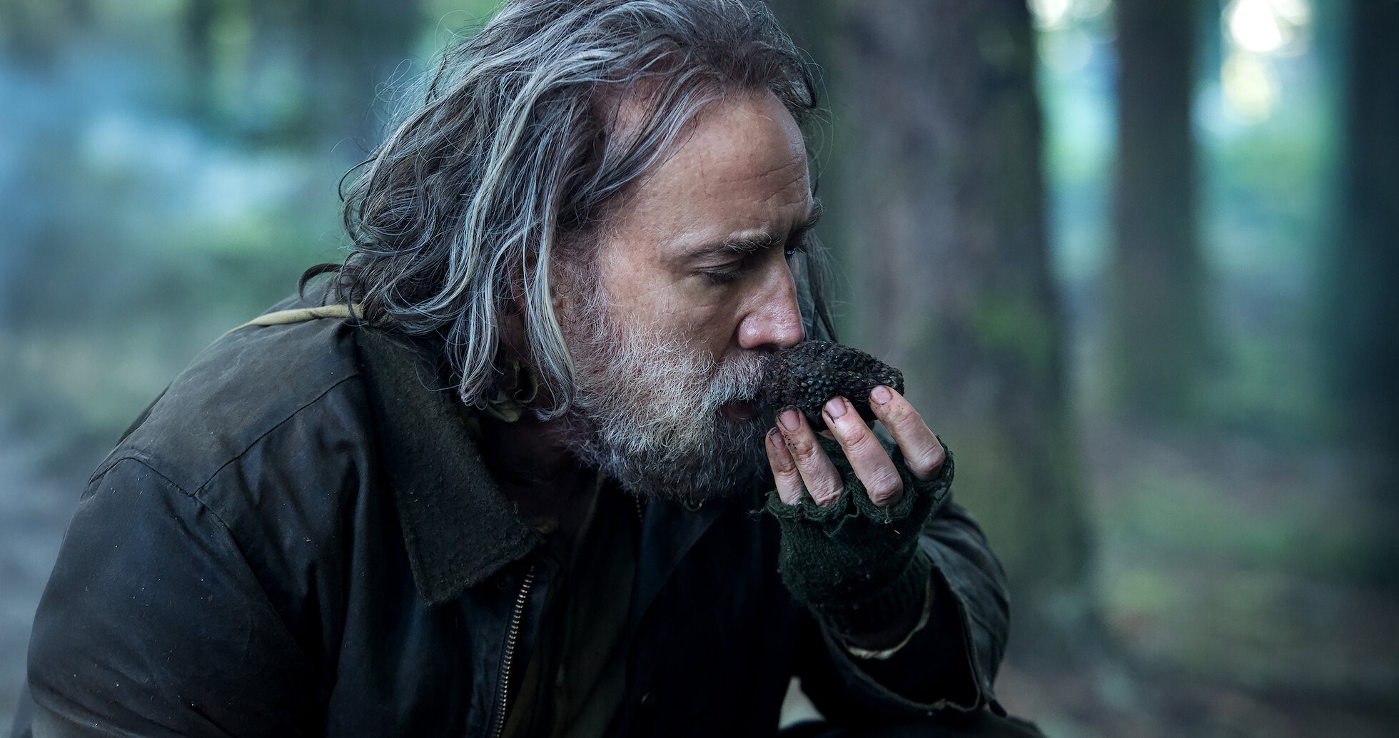 Stan: best new shows & films streaming this week | ScreenHub: Film, TV ...