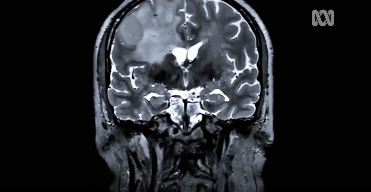 ABC iview: best new shows & films streaming this week | ScreenHub: Film, TV, Streaming and Games