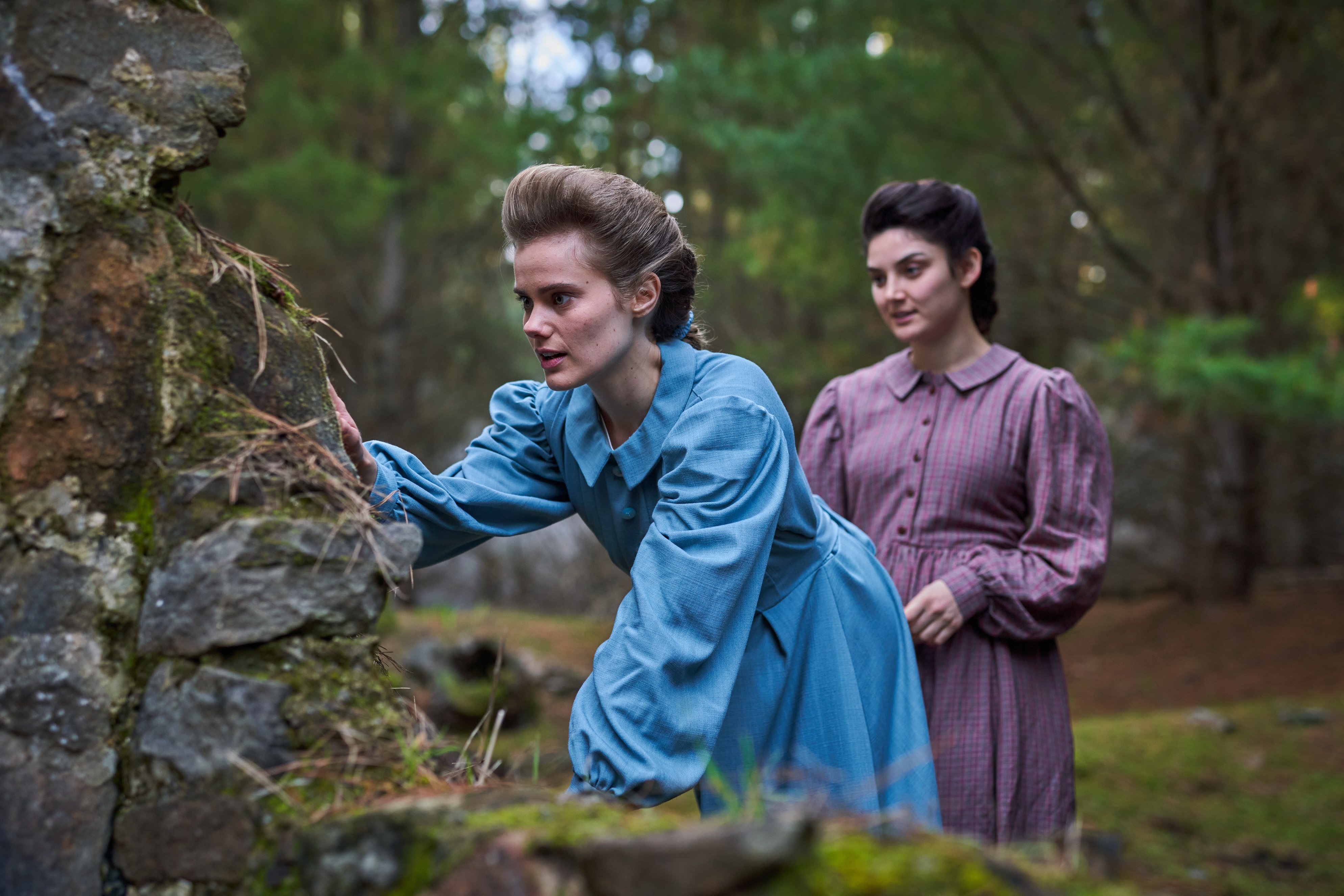 Planet America, ABC review: when US politics turns to parody | ScreenHub: Film, TV, Streaming ...