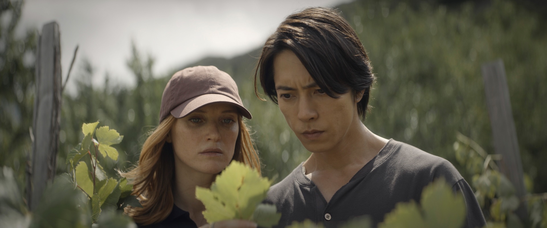 Apple TV+: best new shows & films streaming January 2026 | ScreenHub ...