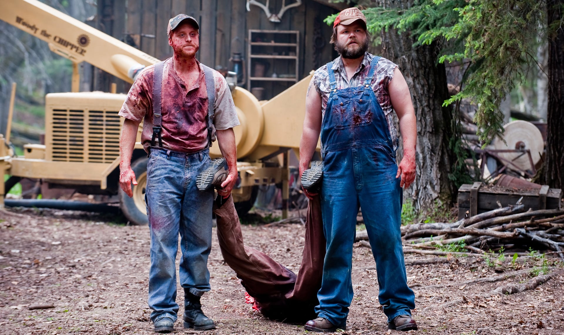 AMC+, Shudder, Acorn TV: best new shows & films streaming this week ...