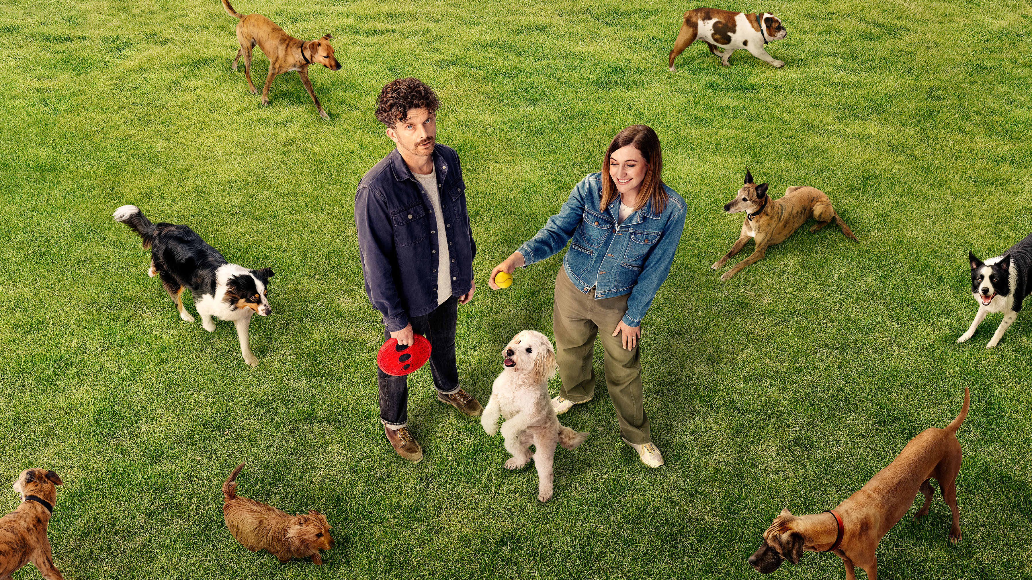 ABC iview: best new shows & films streaming February 2026 | ScreenHub ...