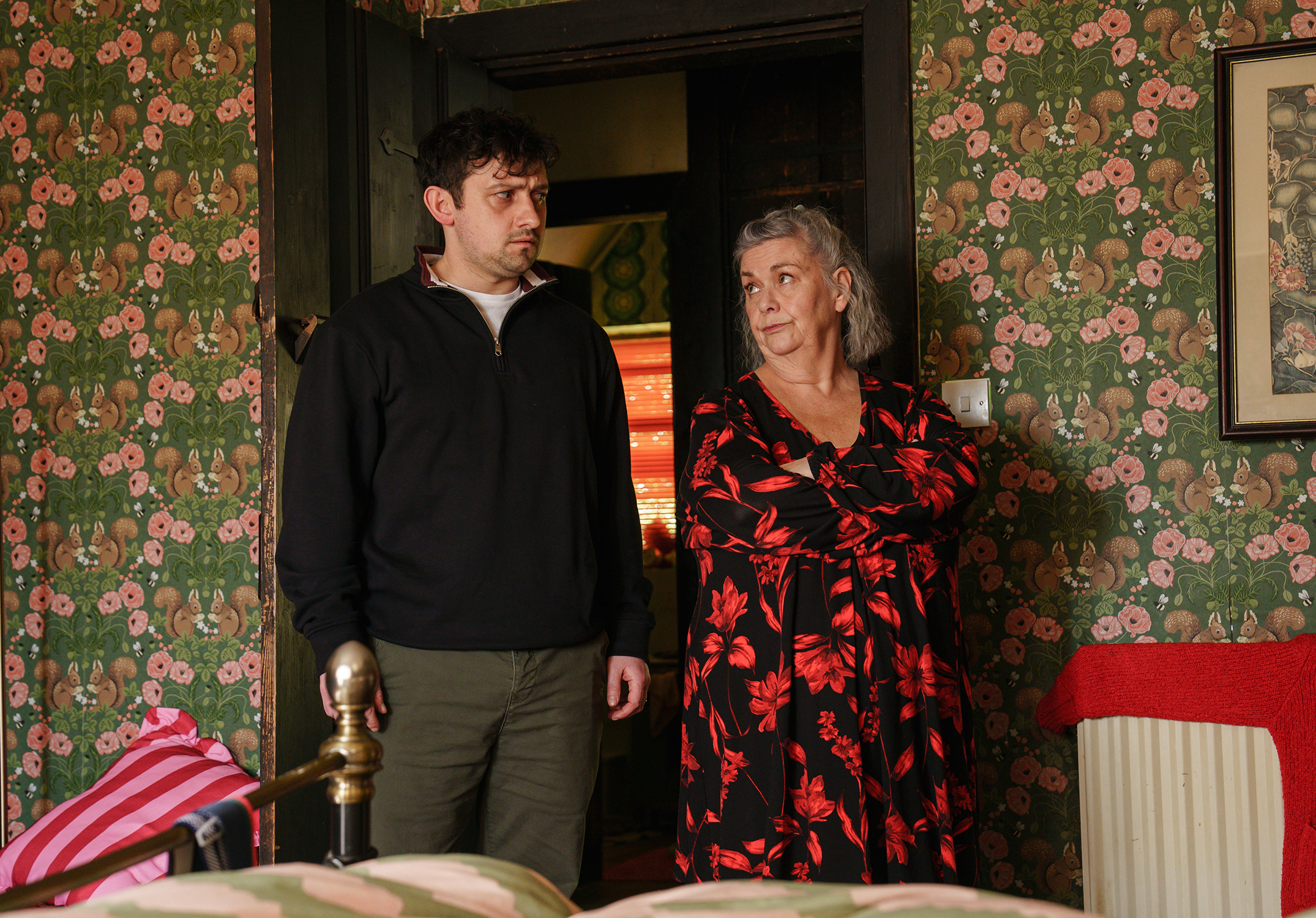 ABC iview: best new shows streaming this week | ScreenHub: Film, TV ...