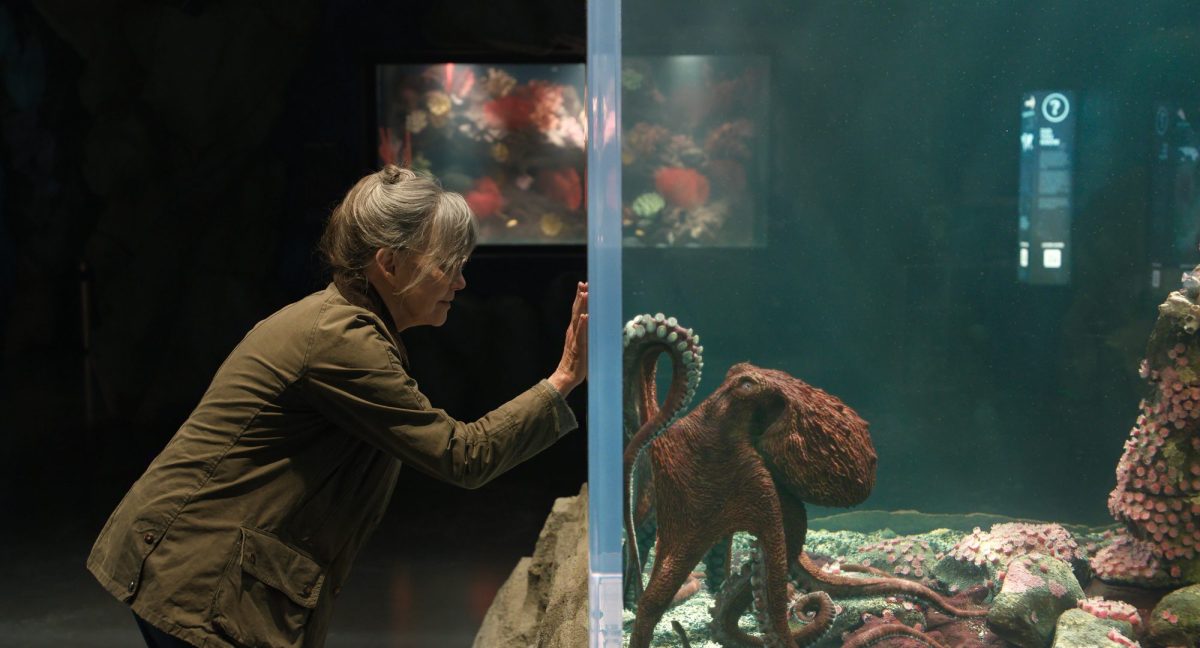 Best new shows & films streaming this week on Netflix, Prime Video, SBS ...