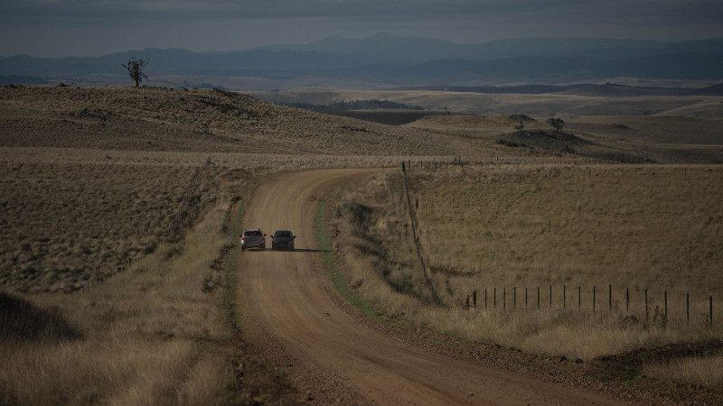 Alphabet Lane review: a surprising Aussie thriller about love and ...