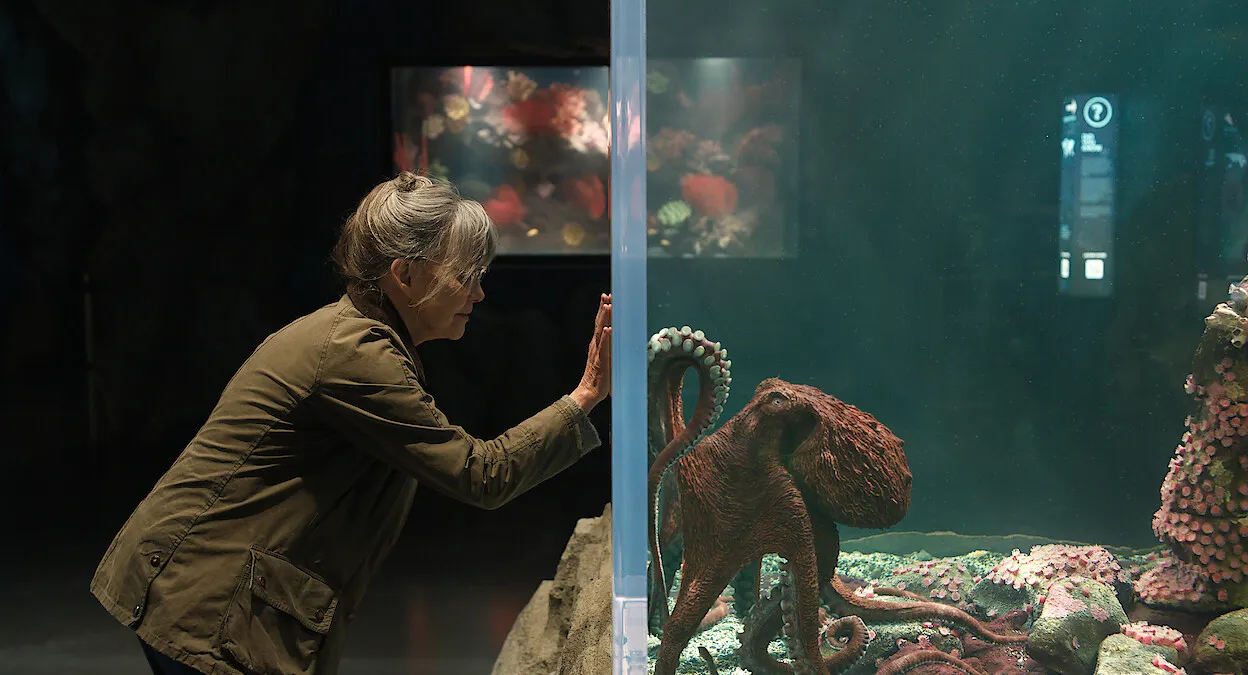 Remarkably Bright Creatures Review Sally Field Shines In Sweet Film